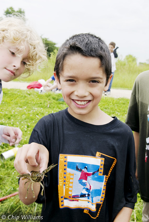 Crayfish tales | Lake County Nature