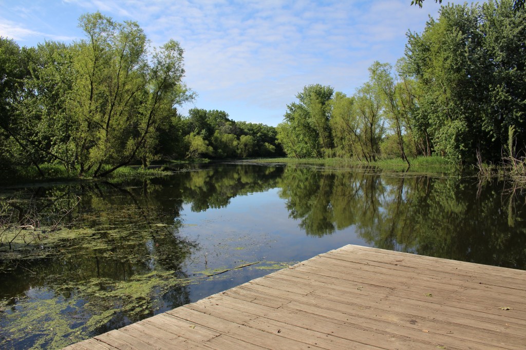 Des Plaines River Trail—Mile by Mile | Lake County Nature