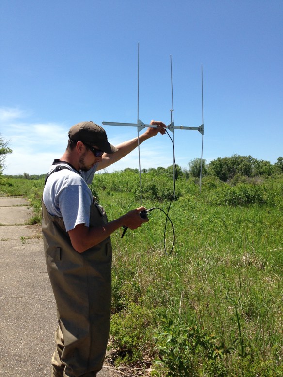 Saving the Blanding’s Turtle | Lake County Nature