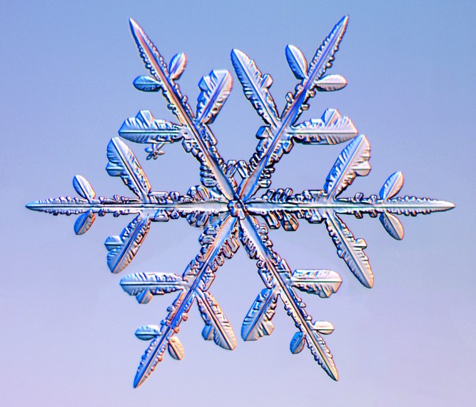 Snowflake anatomy | Lake County Nature