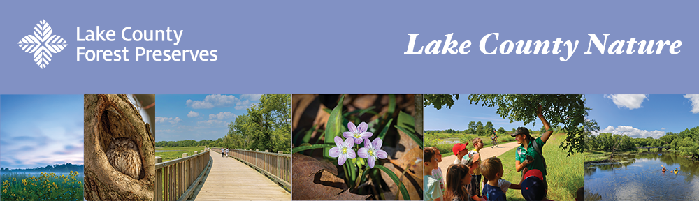 Lake County Nature | find your niche